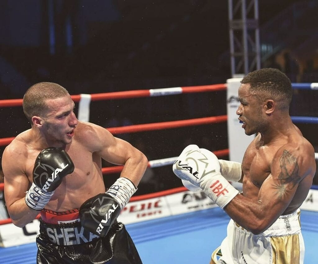 Bruno Tarimo victorious against Gurdijeljac, gains IBF belt - Big Fight ...