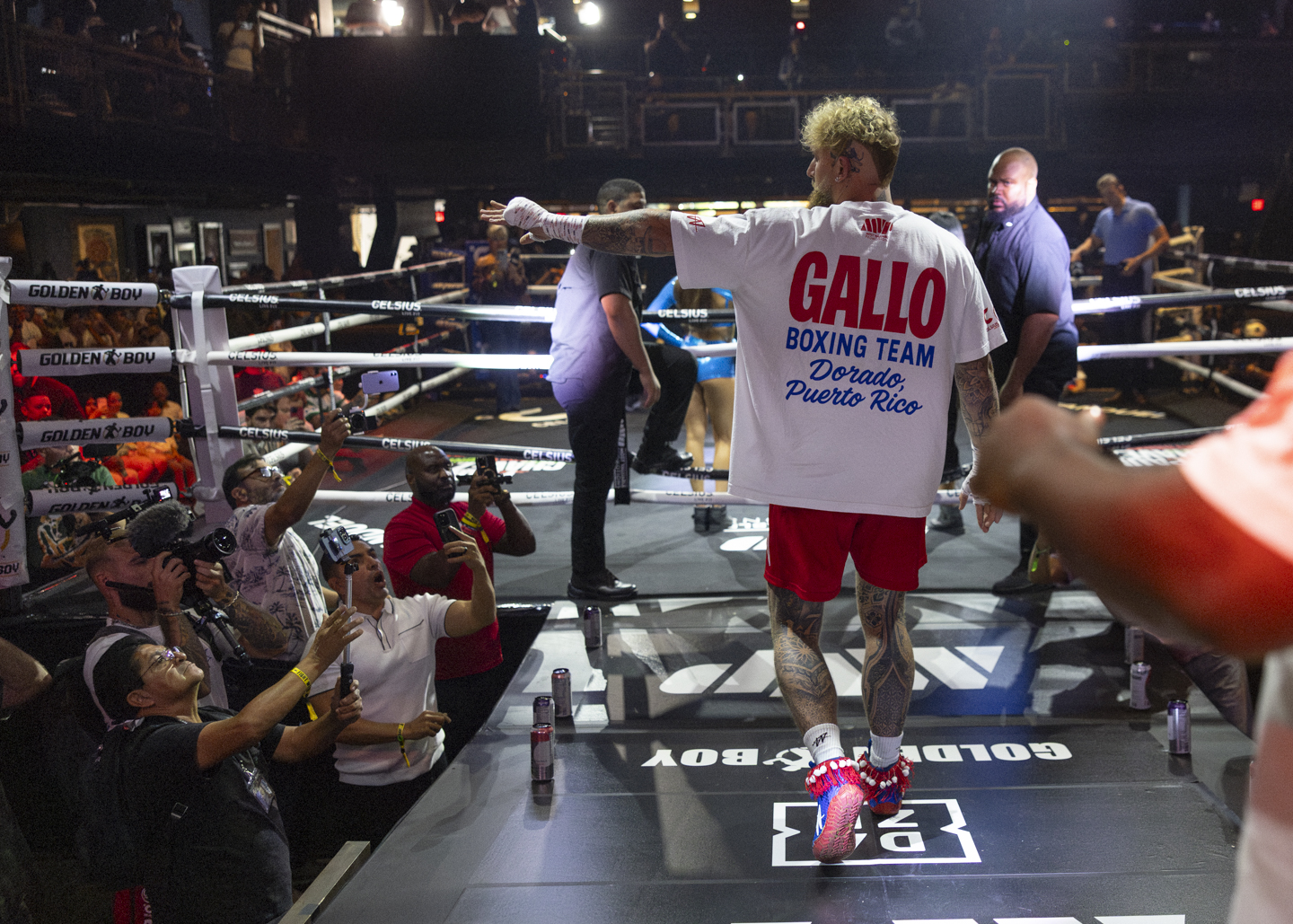 Jake Paul vs Chavez Jr and Undercard Best Bets for June 28